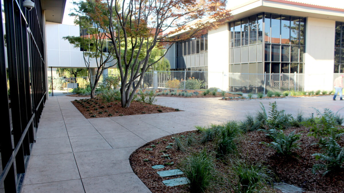 Nvidia Corporate Campus, Santa Clara - VERDE DESIGN | Committed to ...